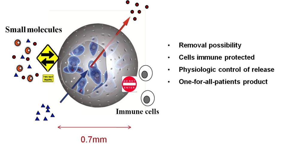 Work with Partners Using Cell-in-a-box - Austrianova