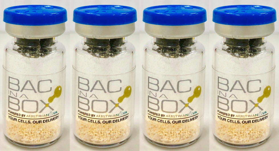 Bac-in-a-Box: Chemicals and Encapsulation Kit - Austrianova