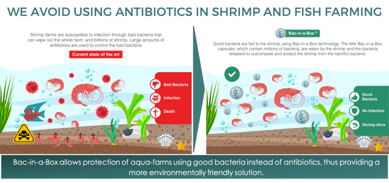 Bac-in-a-box : Aquaculture - Austrianova